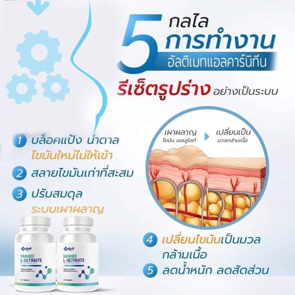 Yanhee Ultimate L-Carnitine | Yanhee Thailand Online